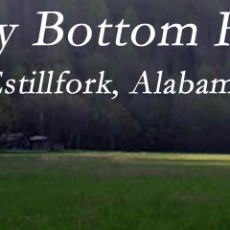 Foggy Bottom Farms - Tennessee Valley Buzz
